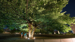 About Us – Oklahoma City National Memorial & Museum