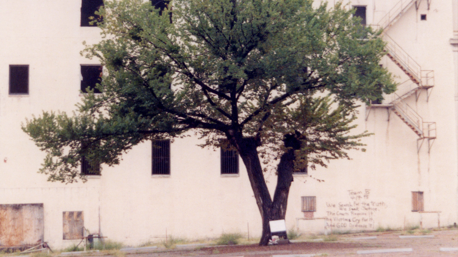 The Survivor Tree - Oklahoma City National Memorial & Museum