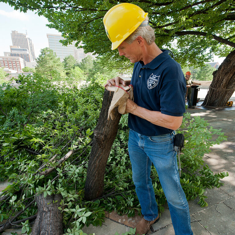 Environmental Science Family STEM Experience - Oklahoma City National ...